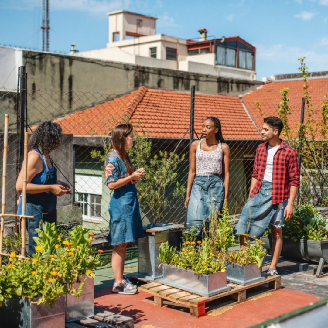 About - Build It Green